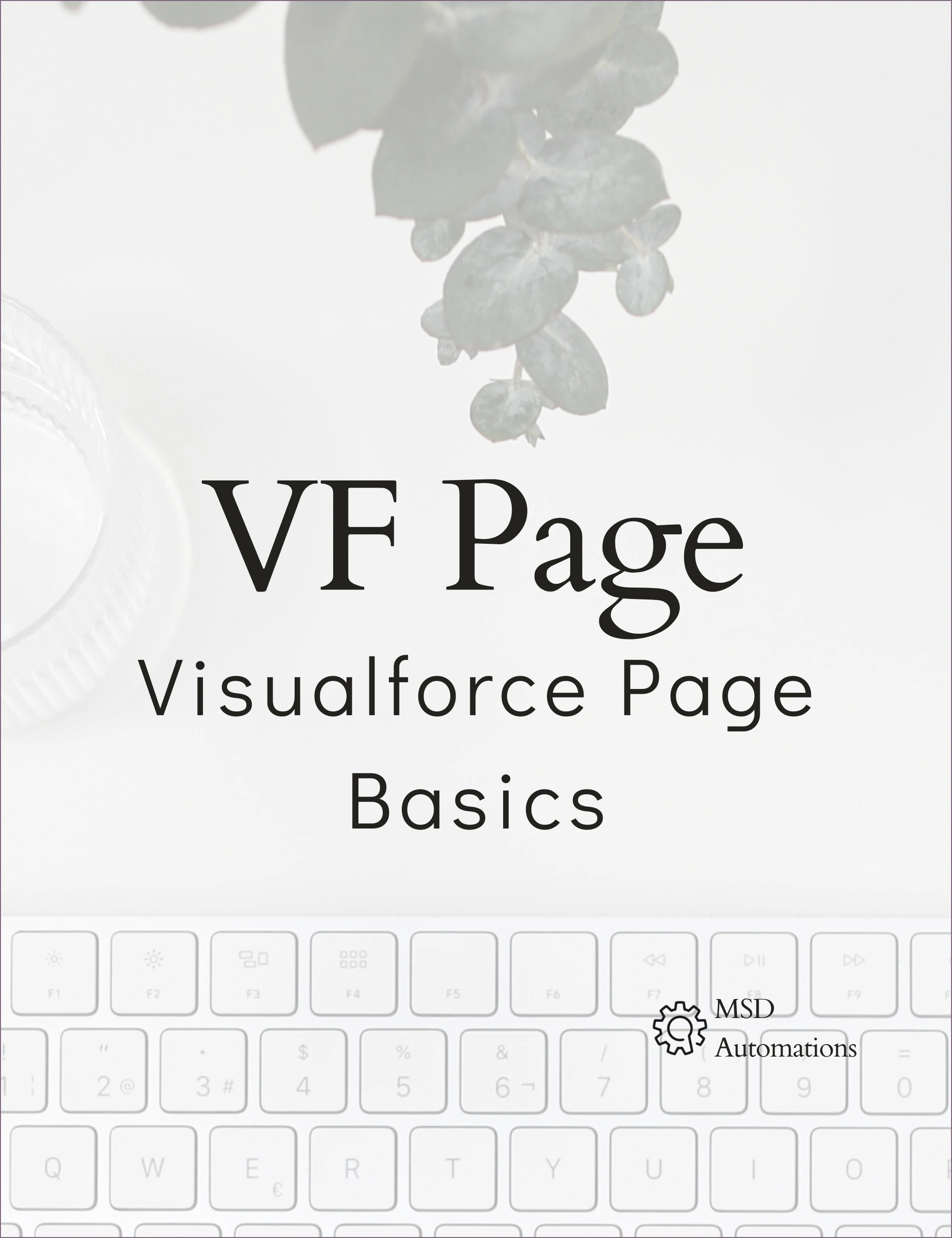 MSD Automations | Visualforce Page Basics